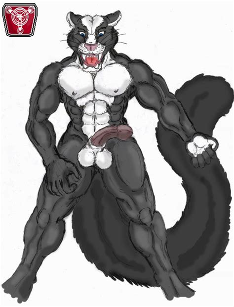 Rule 34 Anthro Feline Fur Furry Male Male Only Noxx Panther Skunk