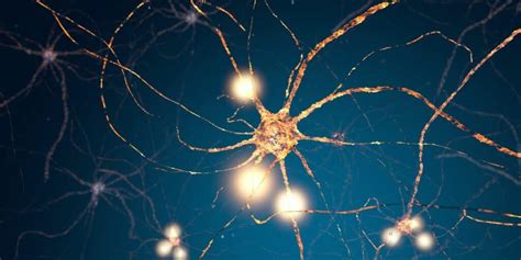 Praxis Evolution Opensource Evolution