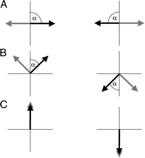 Rotational Transformation The Cartoon Illustrates The Nature Of The Download Scientific