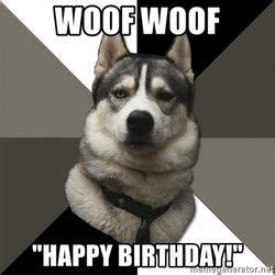 Birthday Meme Husky