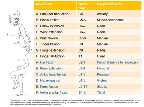 Neuromuscular Weakness Recapem Neuromuscular Weakness Recapem
