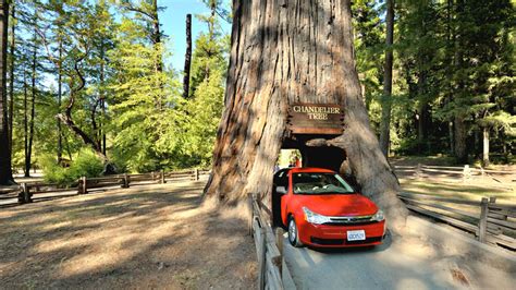 Only In Northern California Can Travelers Take A Kitschy Road Trip