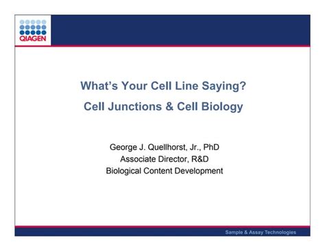 Cell Junctions 2013 Pdf