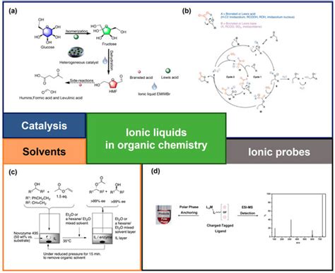 Investigations On The Synthesis Of Chiral Ionic Liquid Supported