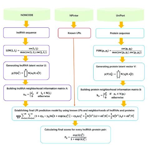 Flowchart Of Lpi Prediction Model Based On Neighborhood Regularized Download Scientific