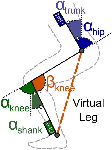 Virtual Leg Model Imus Placed At The Shank And Trunk Measure The