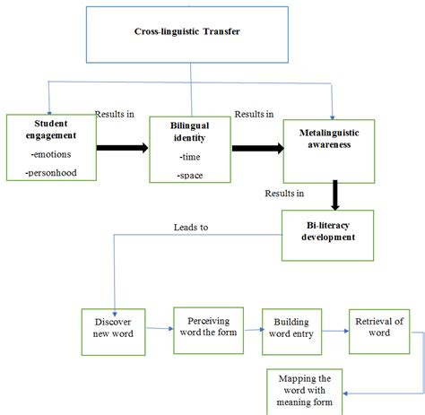 Non Linguistic Frameworks To Analyze The Conceptual Transfer