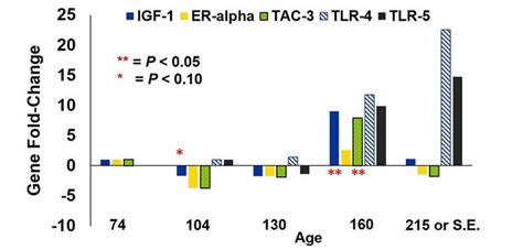Can We Find The Key To Early Estrus In Gilts