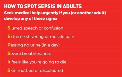 What Is Sepsis Everything You Need To Know About The Killer Disease