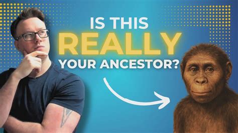 Are Australopithecines Really Human Ancestors The Evidence Says No