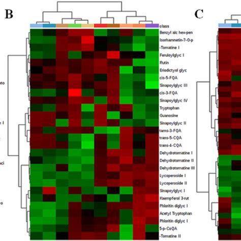 Representative Uhplc Msms Single Ion Chromatogram Xic And Spectrum