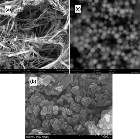 Sem Image Of Tio 2 With Different Morphology A Tube B Sheet C Download Scientific Sem Image Of Tio 2 With Different Morphology A Tube B Sheet C Download Scientific