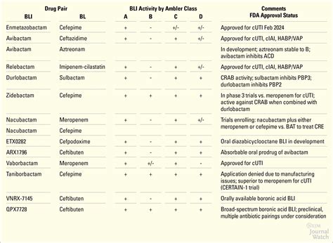 Innovative Pairing Of Beta Lactamase Inhibitors To Combat Multidrug