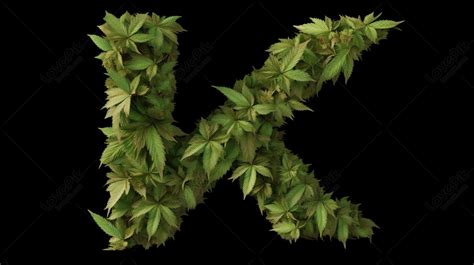 K자형 대마초 잎의 3d 렌더링 배경 타이포그래피 글꼴 배경 3d 배경 3d 렌더링 배경 이미지 Hd 타이포그래피 글꼴 3d 3d 렌더링 배경 사진 무료 다운로드