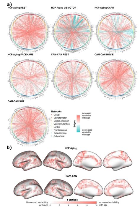 Geroscience 📢new In Geroscience Age Related Decrease