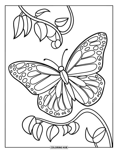 Colorare Farfalle Farfalla Stampare Ausmalen Schmetterling