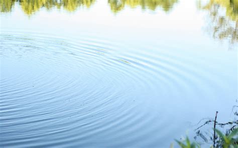 Dissolved Oxygen Levels In Ponds Tlc Perfect Pond