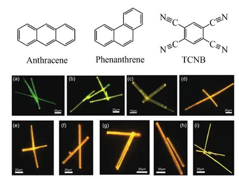 走进结晶 12 什么是共晶？共晶在哪些领域有应用？ 知乎