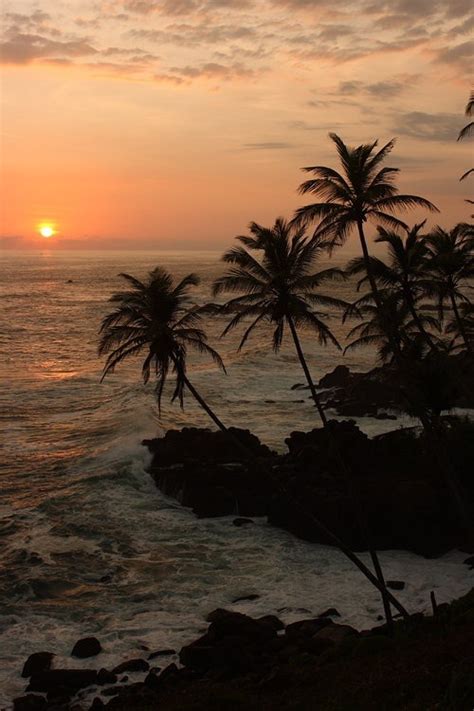 For Love Of Sun And Sea