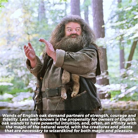 Hagrid Photos Hagrid Prisoner Of Azkaban Hagrid Brother