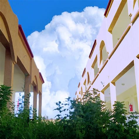 جمعية أمهات و آباء و أولياء أمور تلميذات تلاميذ الثانوية التأهيلية أيت عاصم