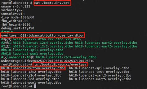 4 中断子系统实验 — [野火]嵌入式linux驱动开发实战指南——基于lubancat 全志系列板卡 文档
