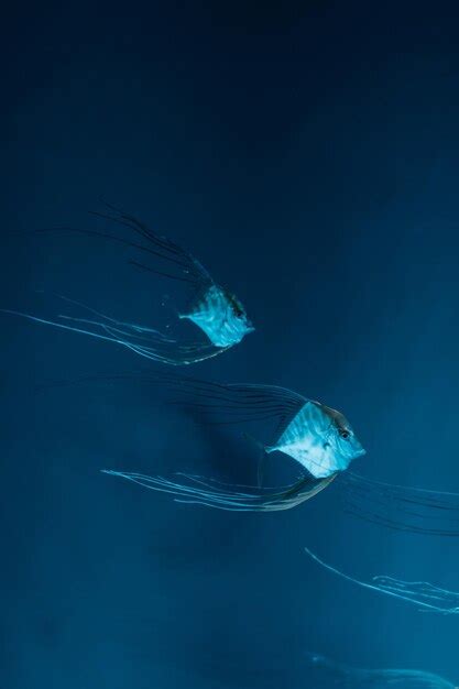 Premium Photo Pompano Fish