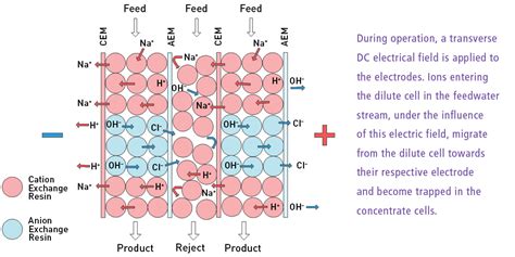 Electrodeionization Processes For Ultrapure Water Production In Green