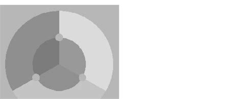 Stimulus For Local Junction Occlusion Control Experiment Mid Grey