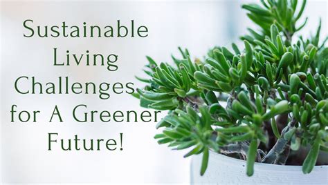 7 Sustainable Living Challenges Expert Insights And Solutions