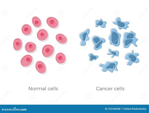 Cell Structure Normal And Cancer Stock Vector Illustration Of Cancer