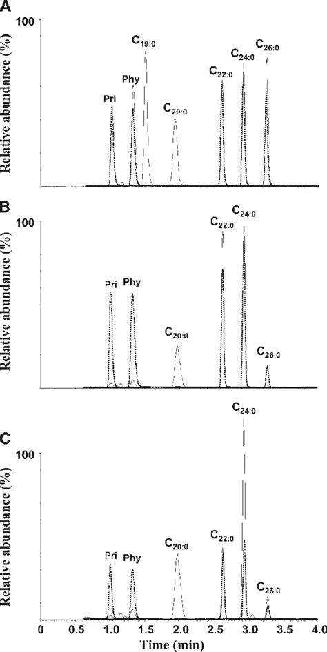 Extracted Mass Chromatograms Obtained With A Standard Fatty Acid