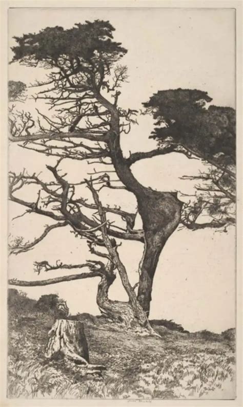 Ernest Haskell Lone Tree Picture Color Codes