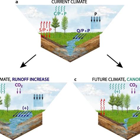 Precipitation Partitioning In The Present And Future A Wy