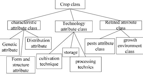 Crop Attribute Classes 3 Relationships And Functions Of Agriculture