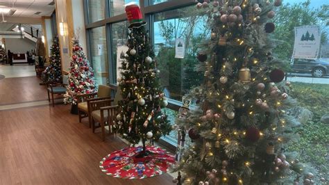 Centras Pearson Cancer Center Spreads Holiday Cheer With Annual Trees