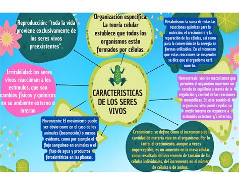 Definición Y Concepto De Características De Los Seres Vivos Srnsy