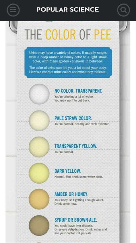 Pee Scale Color Of Urine Pee Color Urinal
