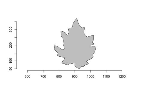 analyzing polygons with pliman pliman