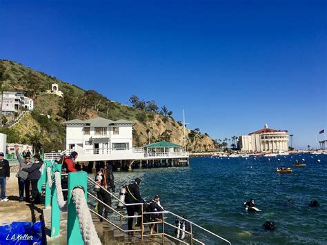 Fullsizeoutput 8bb A Photo On Flickriver