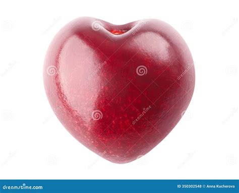 Sweet Cherry Merry In Human Hand With Teenager Girl On Background Stock