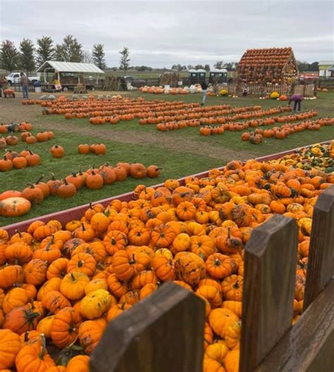 13 Places To Visit The Best Pumpkin Patch Illinois Days Out On The Farm