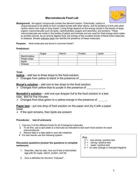 Macromolecule Testing Lab Answer Key