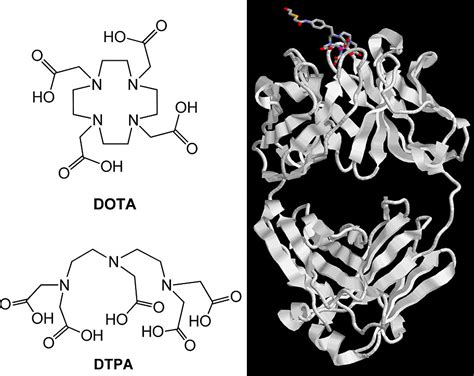 Radiolabeling Techniques At Cameron Coppin Blog