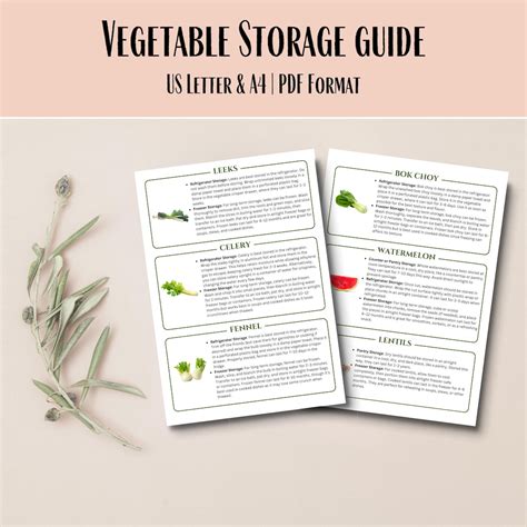 Vegetable Storing Guide Printable Garden Organizer With 30 Vegetables