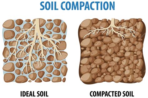 Free Vector Comparison Of Soil Compaction Density In Science Education Free Vector Comparison Of Soil Compaction Density In Science Education
