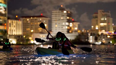 Saltours Sea Air And Land Tours In Puerto Rico
