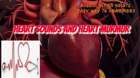 Heart Sound And Murmurunderstanding Heart Murmursa Cardiologists