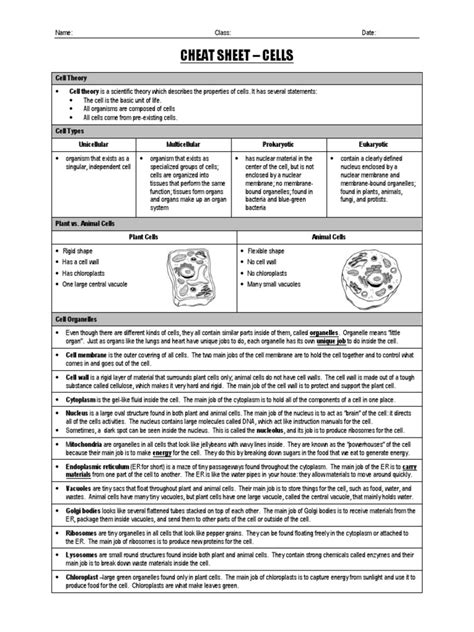 Cells Cheat Sheet Cell Biology Endoplasmic Reticulum
