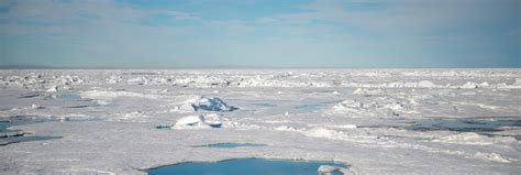 Sea Ice Models